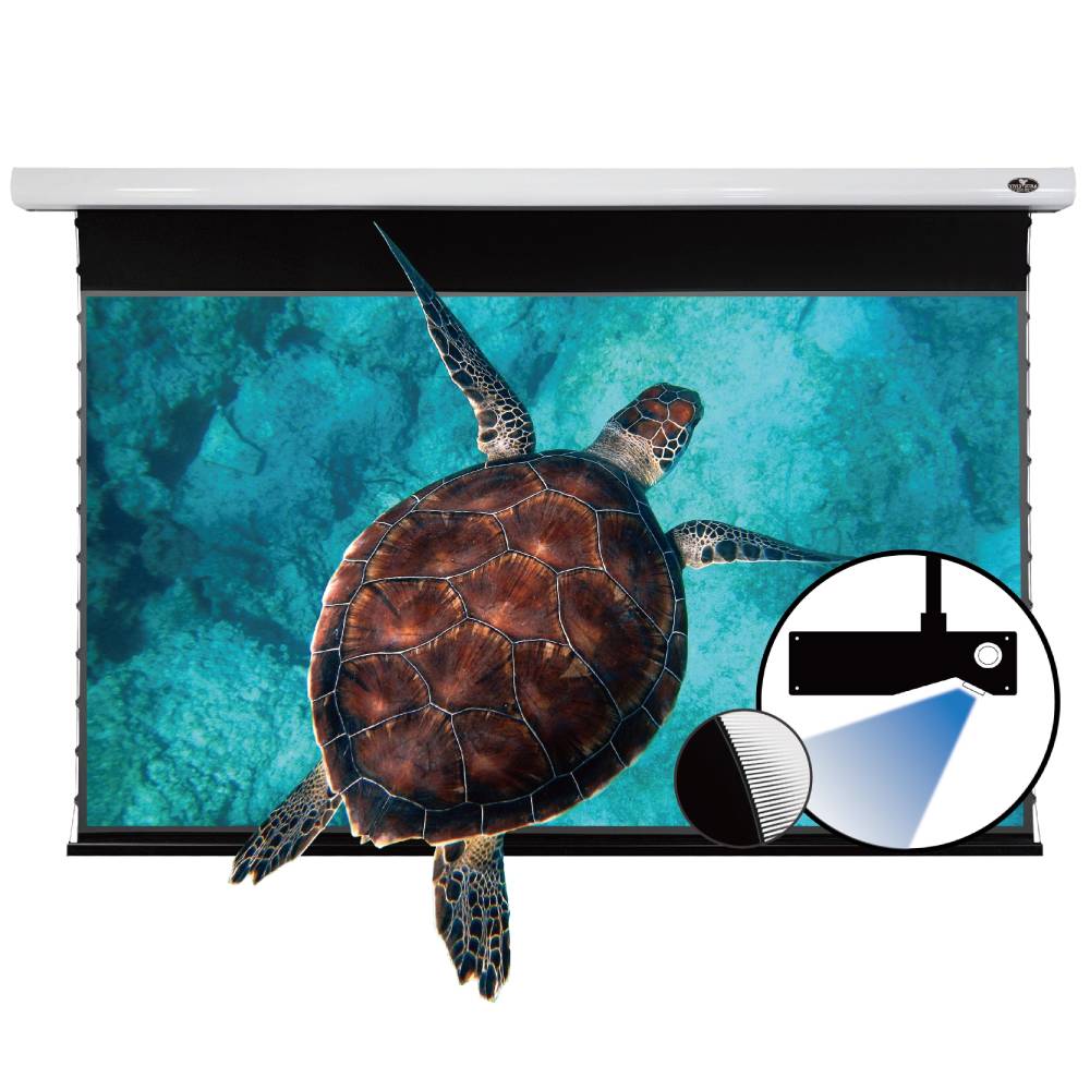 VIVIDSTORM PRO A Slimline Motorised Drop Down Projector Screen for ...