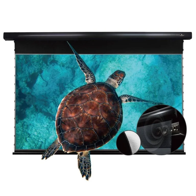 VIVIDSTORM Projector Screens | VIVIDSTORM UAE Official Site