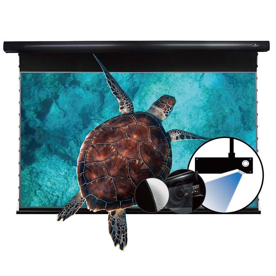 VIVIDSTORM PRO PA Slimline Motorised Drop Down Projector Screen for ...