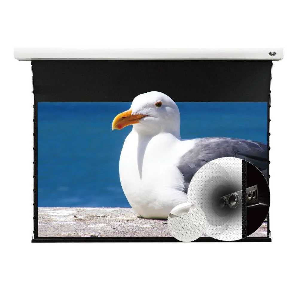 VIVIDSTORM Slimline P Motorised Drop Down Projector Screen with White ...